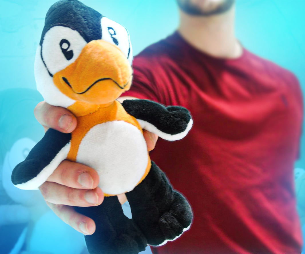 Official SB737 Store